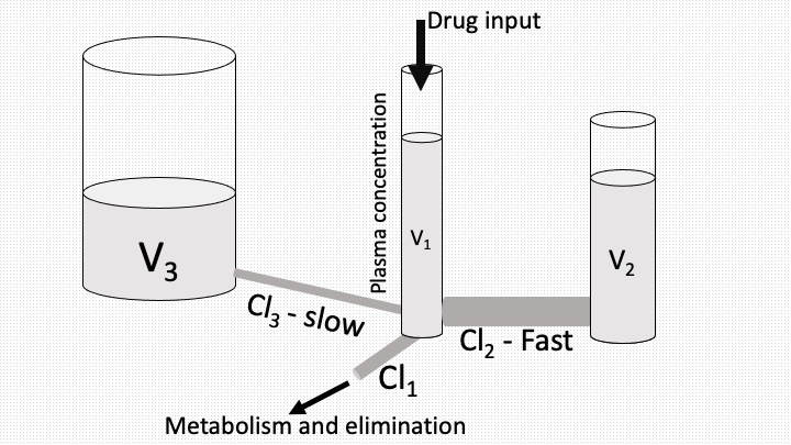 The three compartment model
