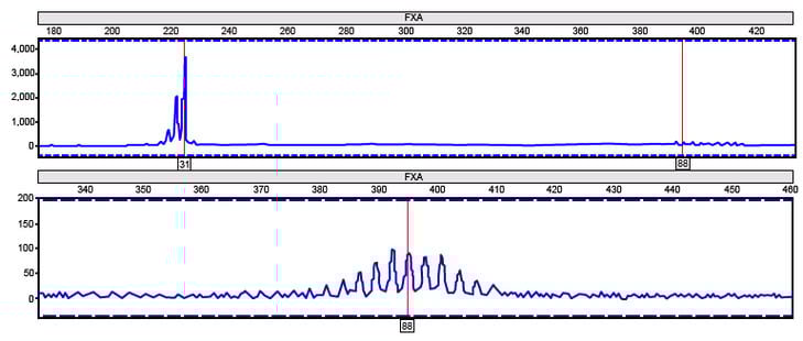 Scibiochem: PCR sizing and Triplet-primed PCR (TP-PCR)