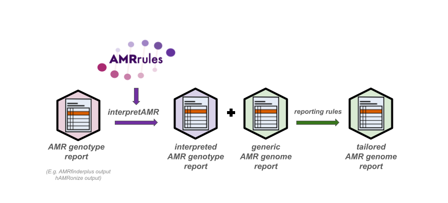 AMRrules – Open source rules for interpreting AMR data