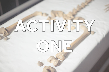 Archaeology Free Online Course - FutureLearn