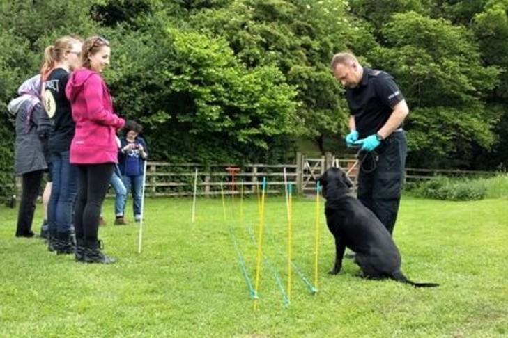 Forensic Archaeology: How to Find a Body