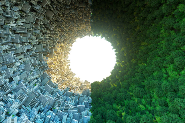 Environmental issues; big picture