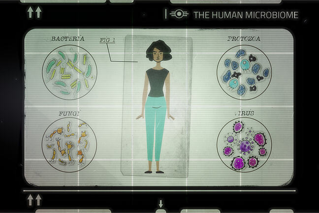 Composition of Gut Microbiome