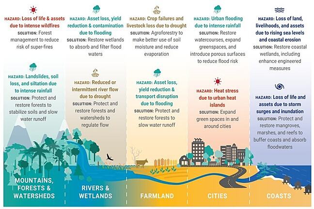 Overcoming Barriers for Nature-based Solutions
