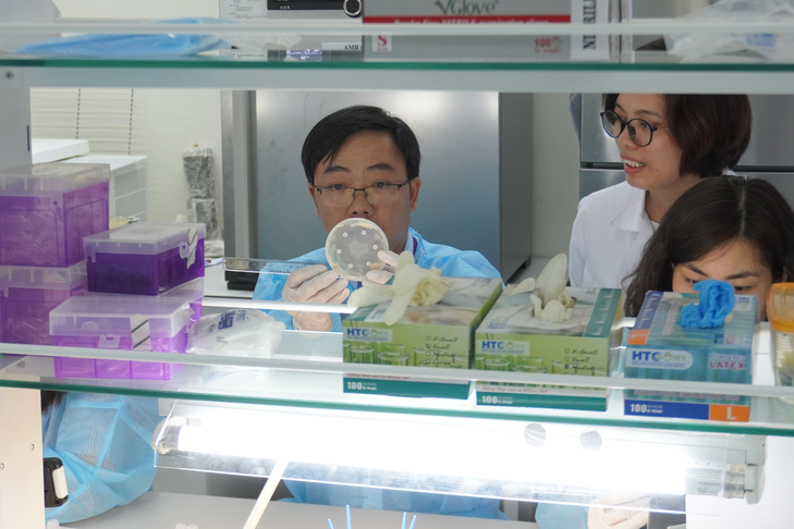 Bacterial identification techniques