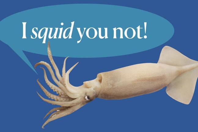 How do neurons communicate? Let’s ask the squids!
