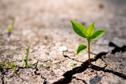 Personal Effectiveness – Expert Track – FutureLearn