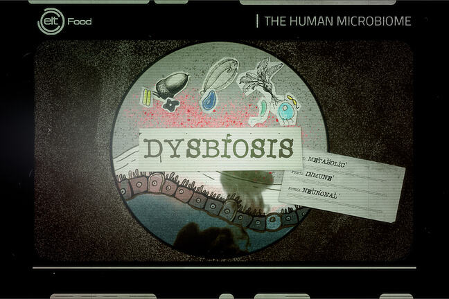 Dysbiose et hyperperméabilité intestinale