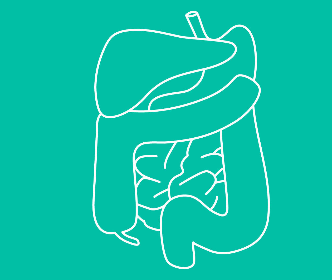 Anatomy: Know Your Abdomen - Online Course