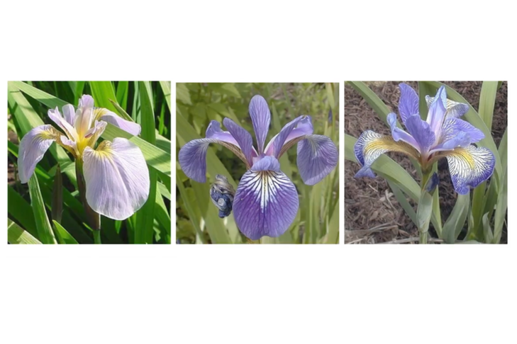 Machine learning tasks