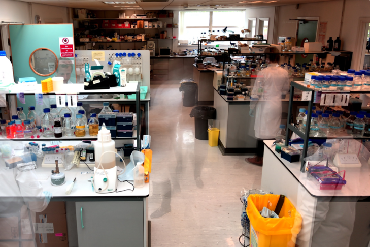 Biology toolbox: detecting and measuring diversity using DNA