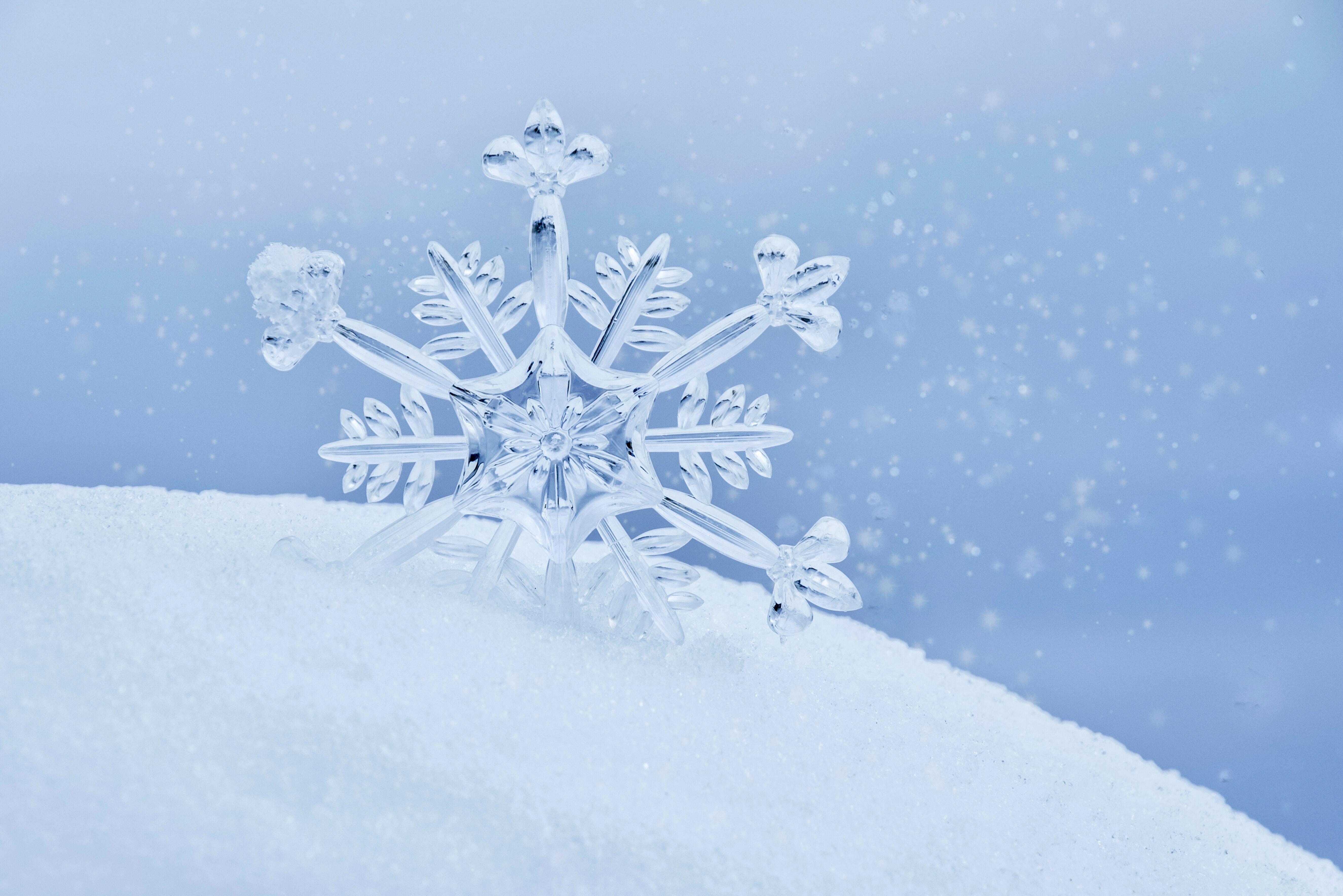 Luna Snow Clearance Shop Save 55 Jlcatj gob mx