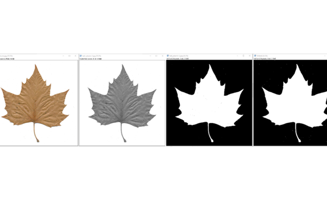 Practical: Erosion and Dilation in Python