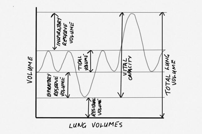 Lung Volumes