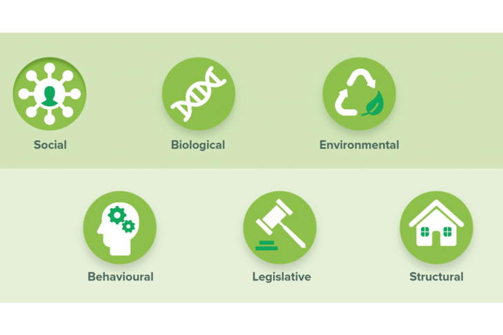 Six levels of public health action