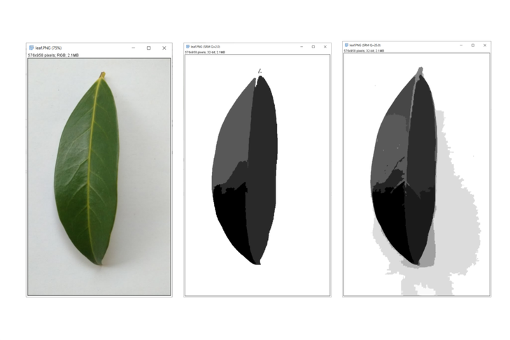 Practical: Region-based segmentation