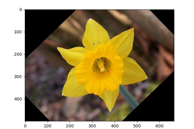 Practical: Data augmentation