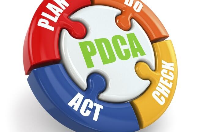 Plan Do Check Act or Adjust