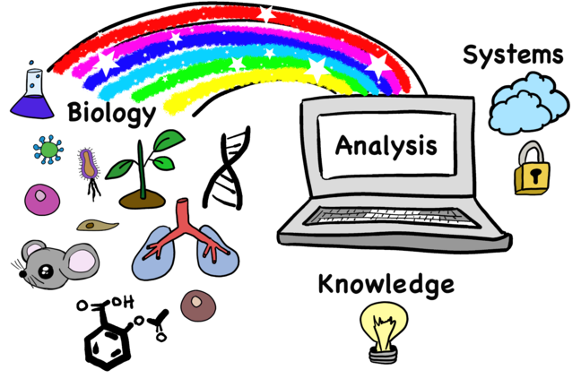 What is bioinformatics?