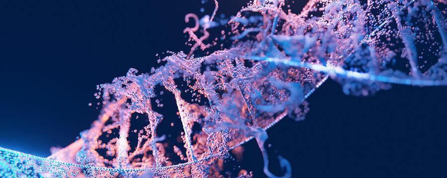 Machine learning in bioinformatics