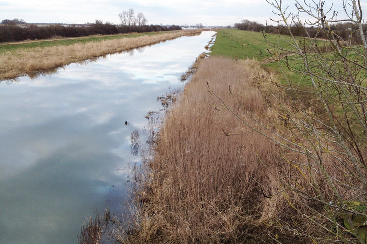 Focus on the Fens
