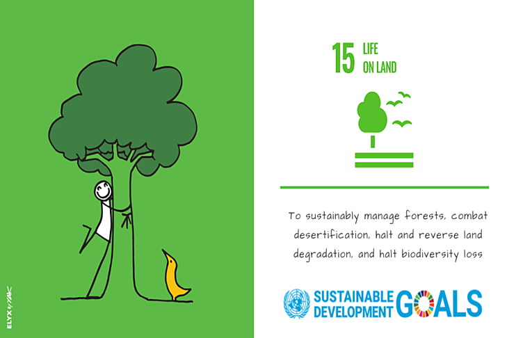SDG 15: Life on Land