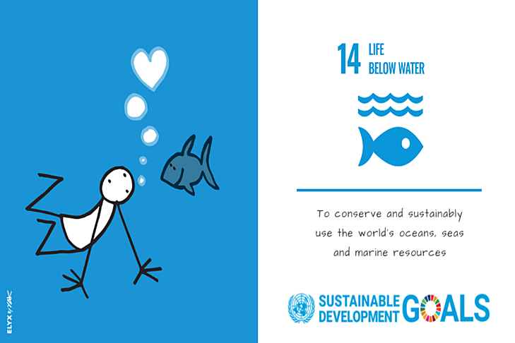 SDG 14: Life Below Water