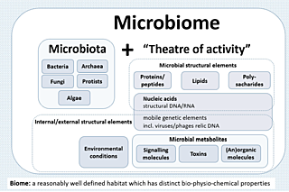 Microbiota vs Microbiome